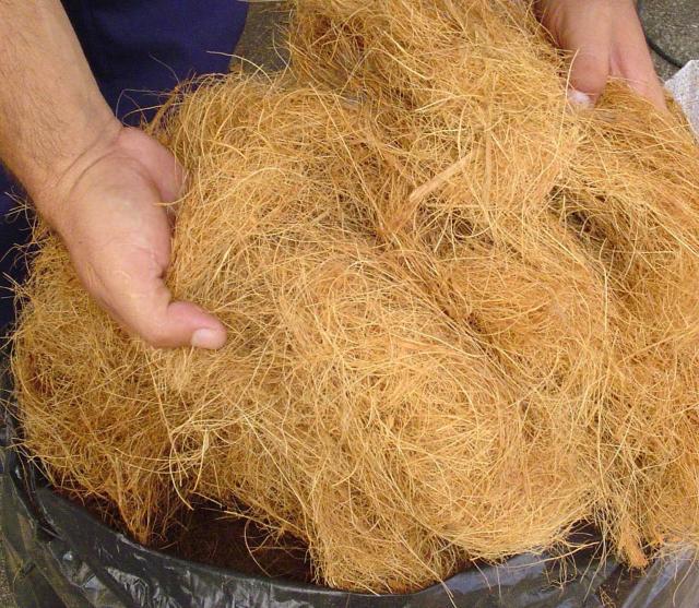 Biomanta de coco poderá ser utilizada na agricultura orgânica ...
